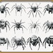 Spider Stamps for Procreate| + PNG Files| Procreate Brush-set Spider ...