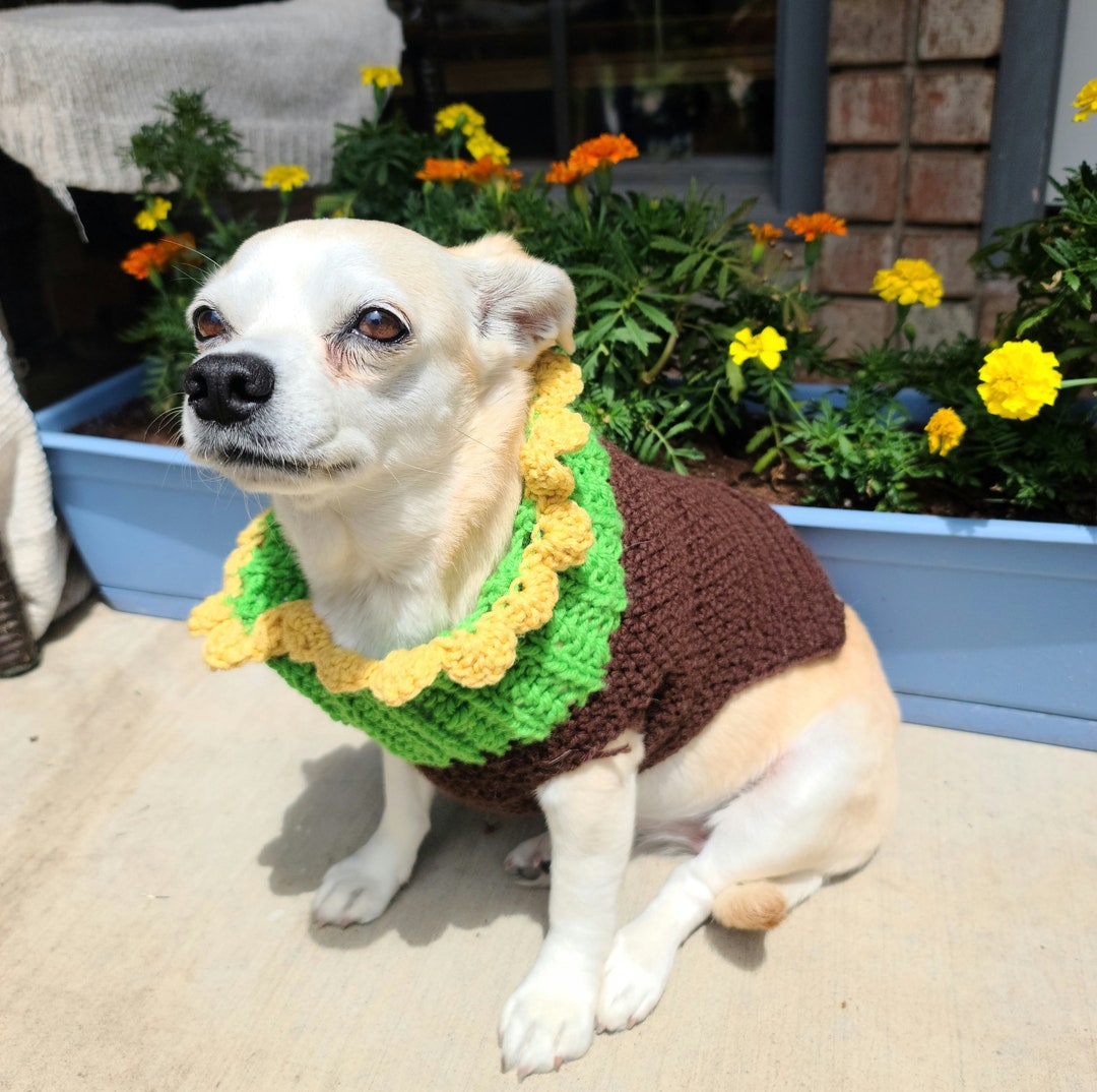 Flower Dog Sweater/small to Extra Small Dog Clothing/daisy Dog Sweater ...