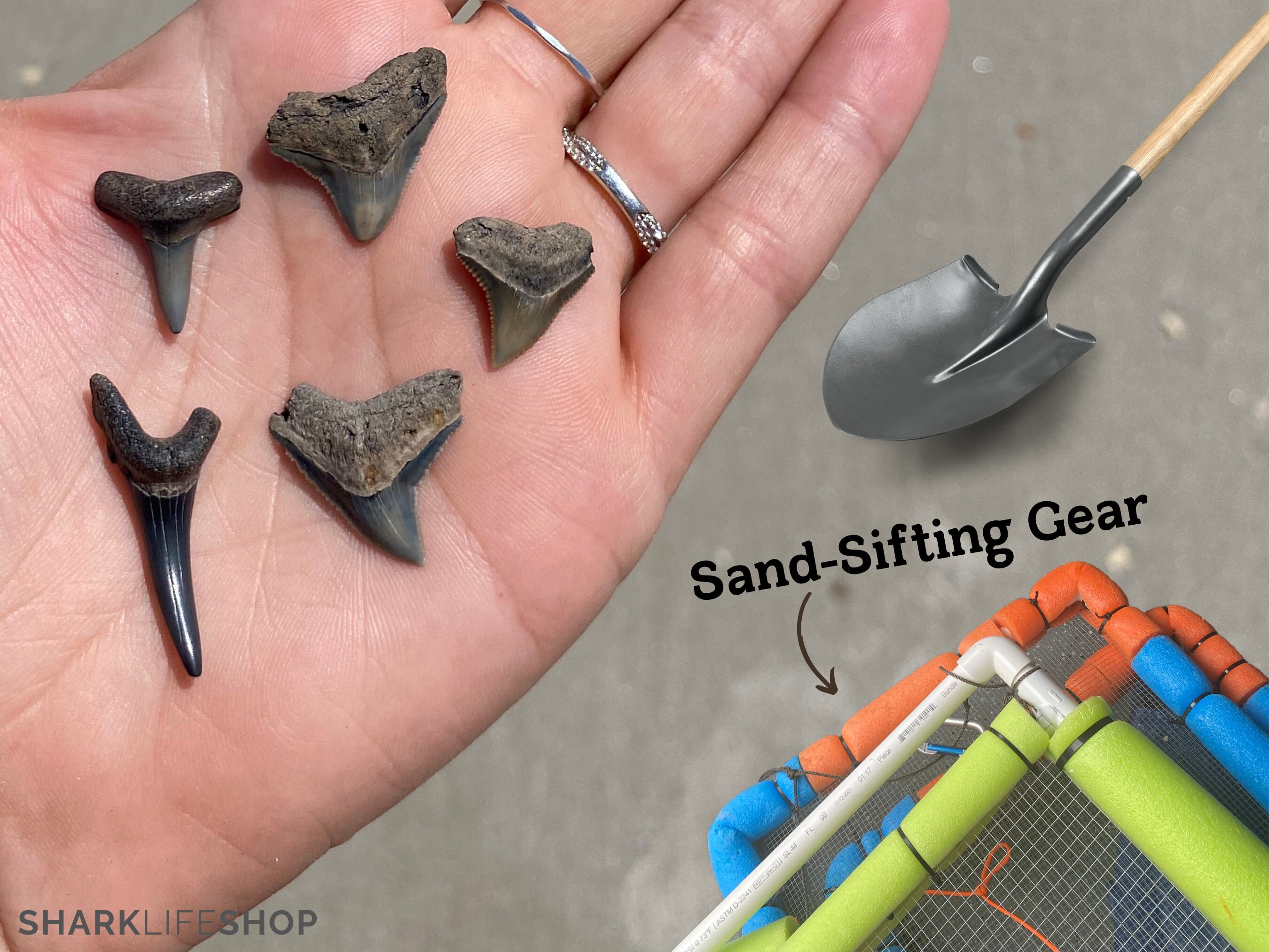 Shark Tooth Necklace Unique Shark Fossil Jewelry Shark - Etsy