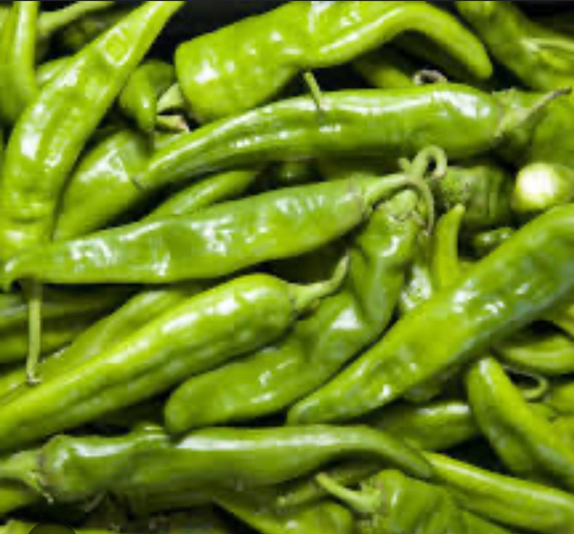 New Mexico Hatch Green Chile Garlic Salt - Etsy