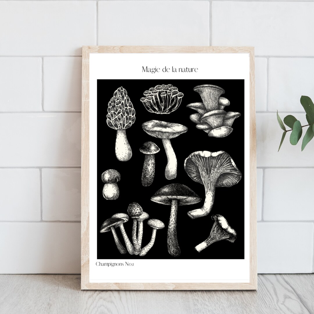 Mushroom PRINTABLE Art. Mushroom Collage Artwork. Plant Foraging ...