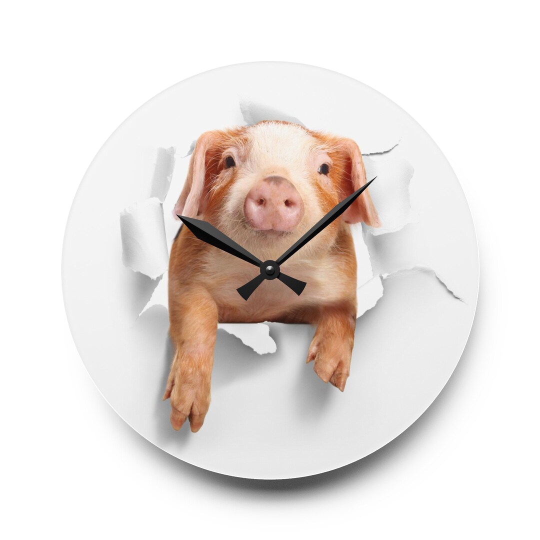 Pig Breaking Through Custom Design Acrylic Wall Clock Animal Lovers ...