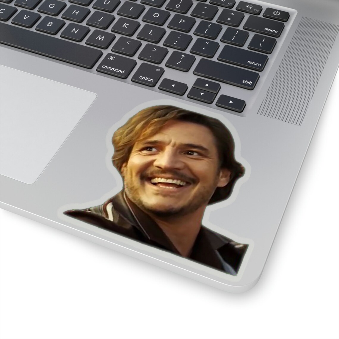 Pedro Pascal Meme Pedro Pascal Meme Stickers Gift for Pedro - Etsy UK