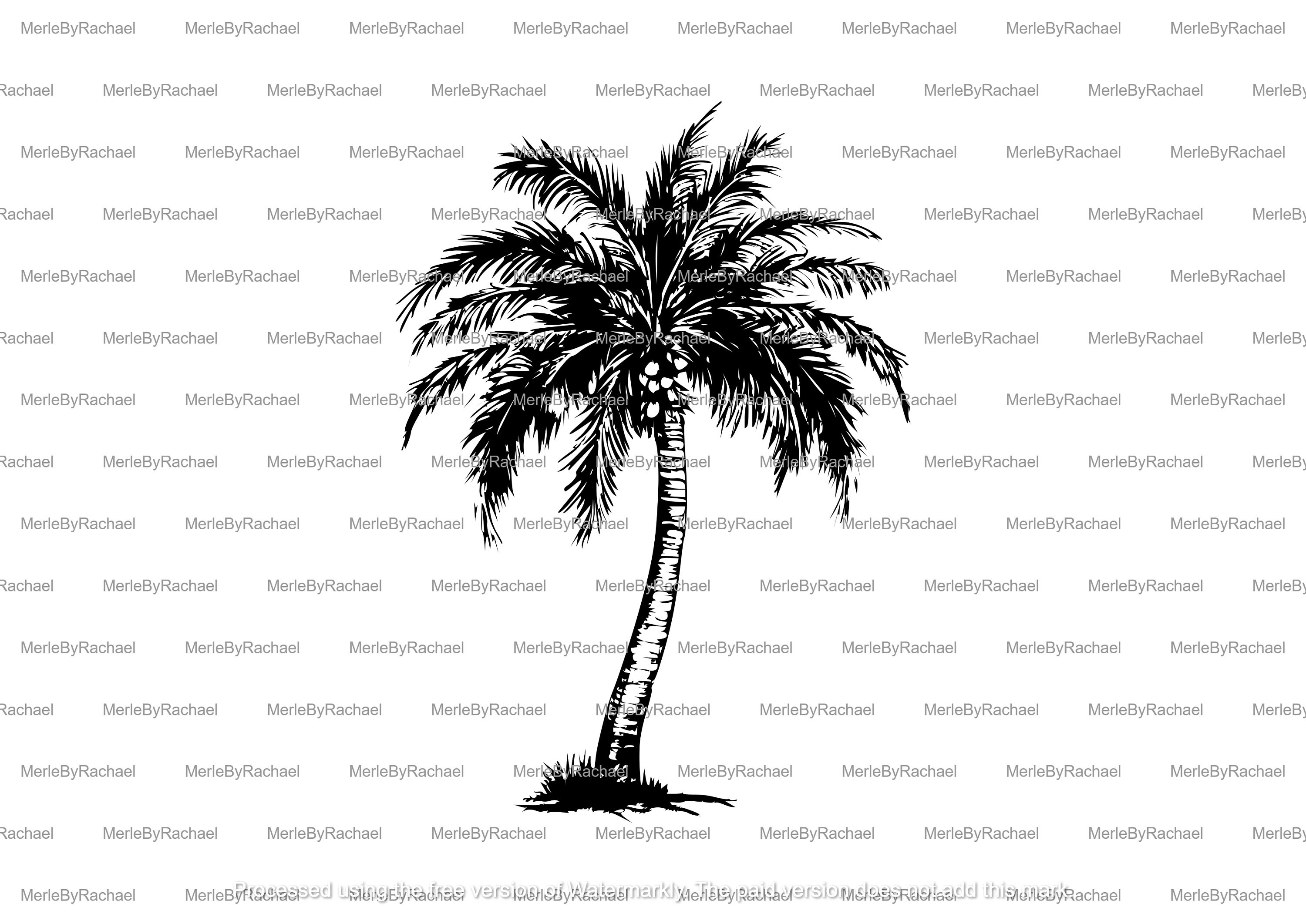 Palm Tree Bundle of 7 Vector SVG Images | Digital Download | High ...