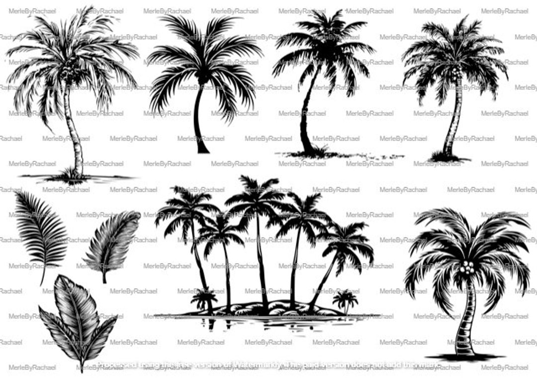 Palm Tree Bundle of 7 Vector SVG Images | Digital Download | High ...