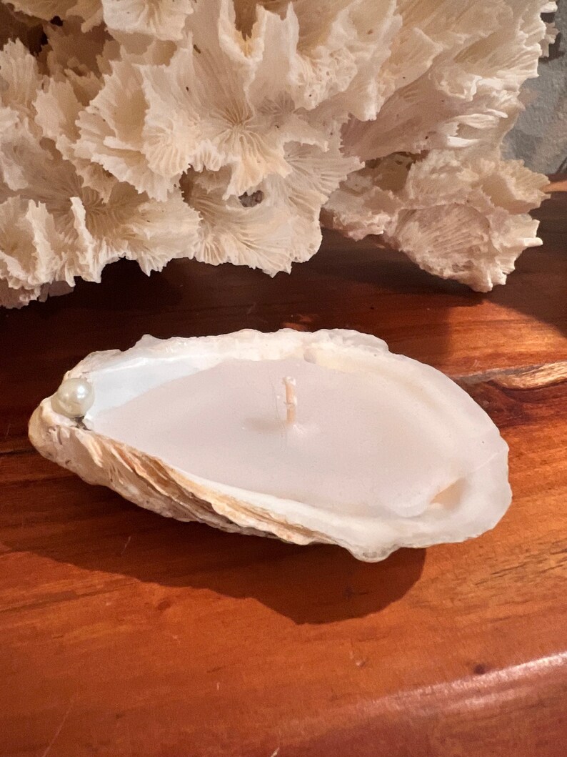 Oyster Candles - Etsy