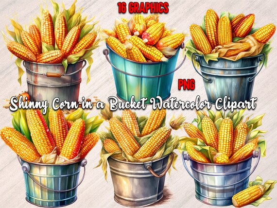 Harvest Corn Clip Art