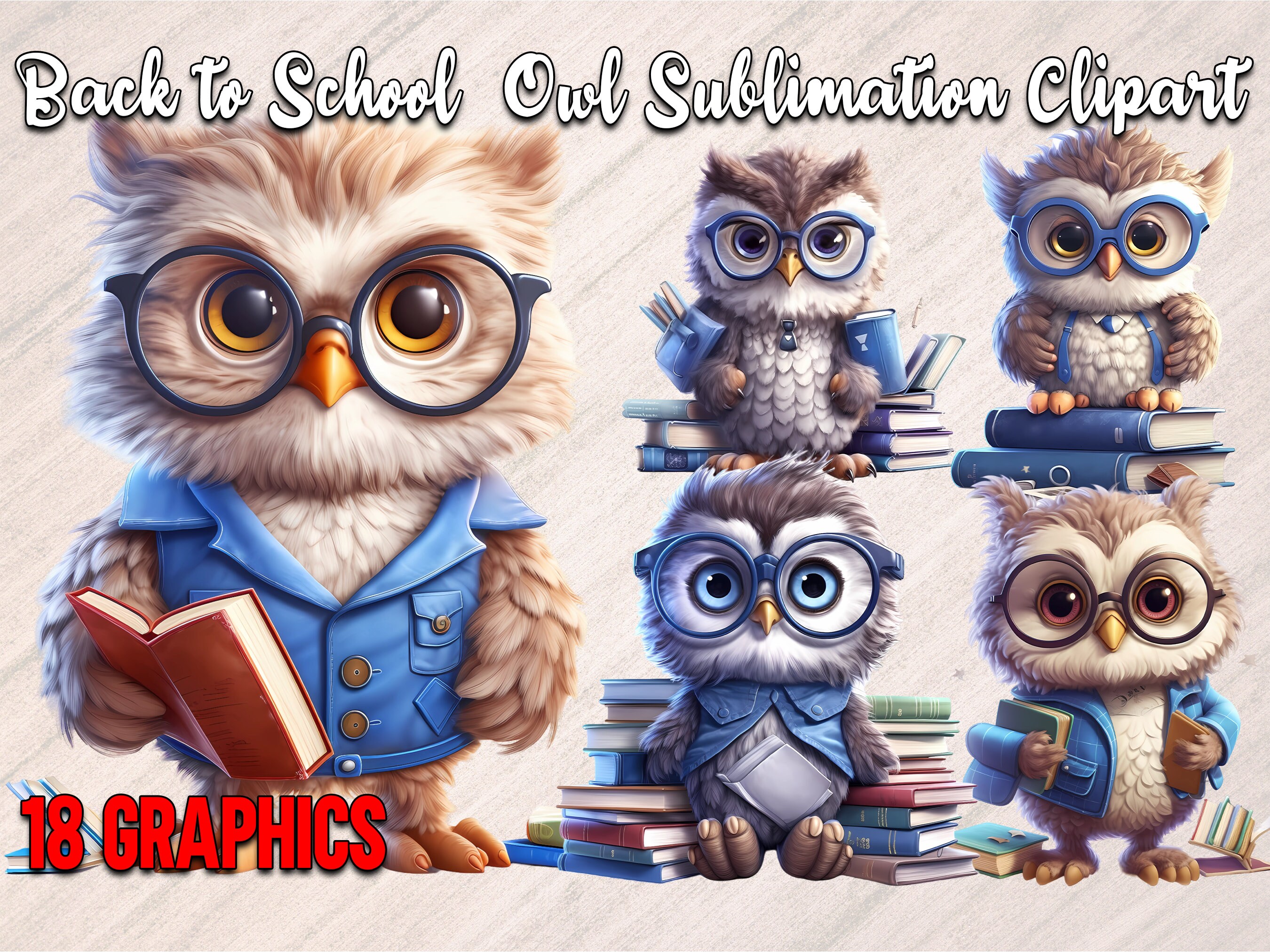 Back to School Owl Clipart Set, Cute Owl Illustrations, PNG Bundle ...