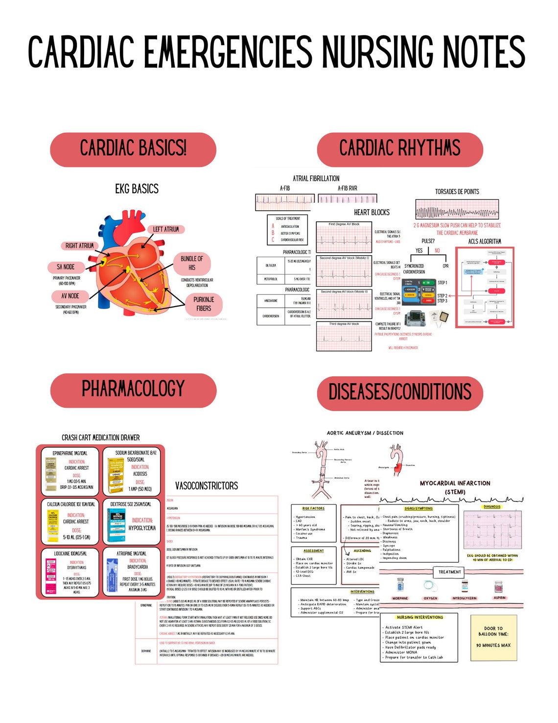 Cardiac Emergencies Mastery: Visual Nursing Notes for Students, New ...