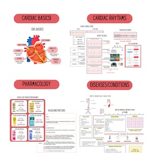 Cardiac Emergencies Mastery: Visual Nursing Notes for Students, New ...