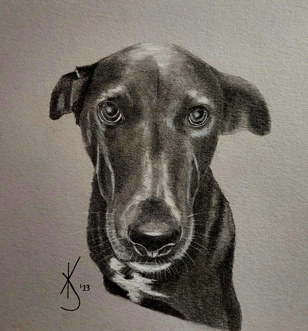 Memorial Graphite Animal Portrait - Etsy