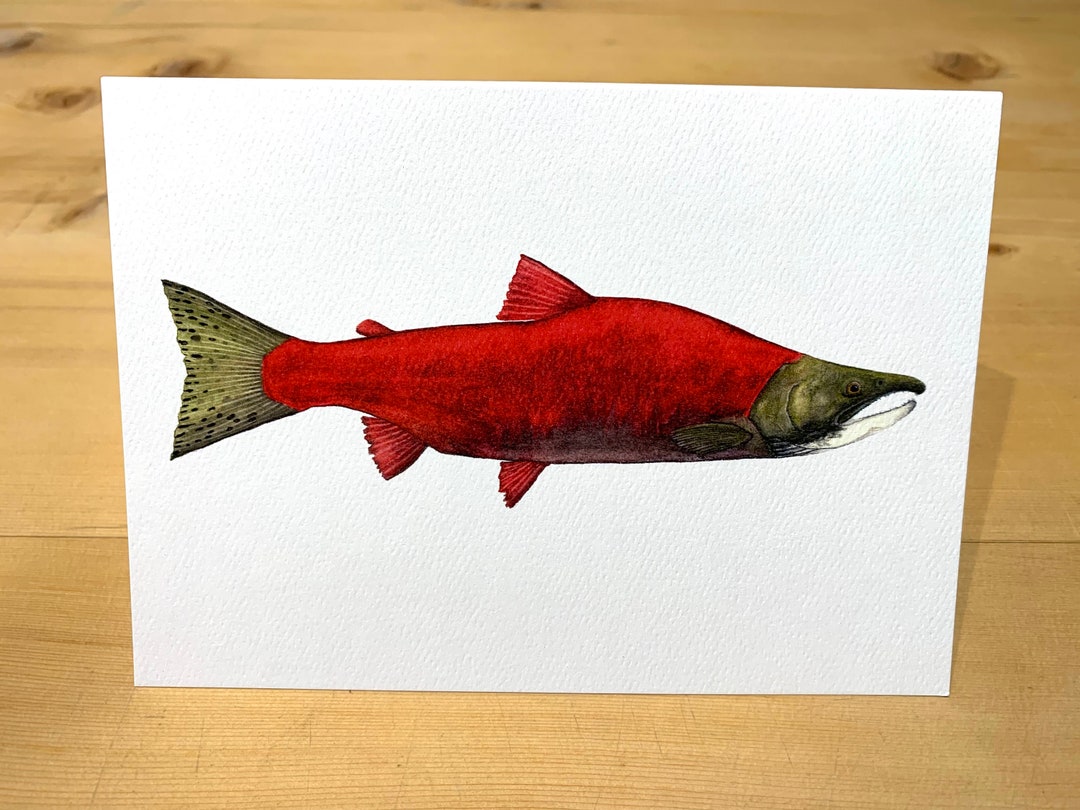 Sockeye Salmon Greeting Card - Etsy