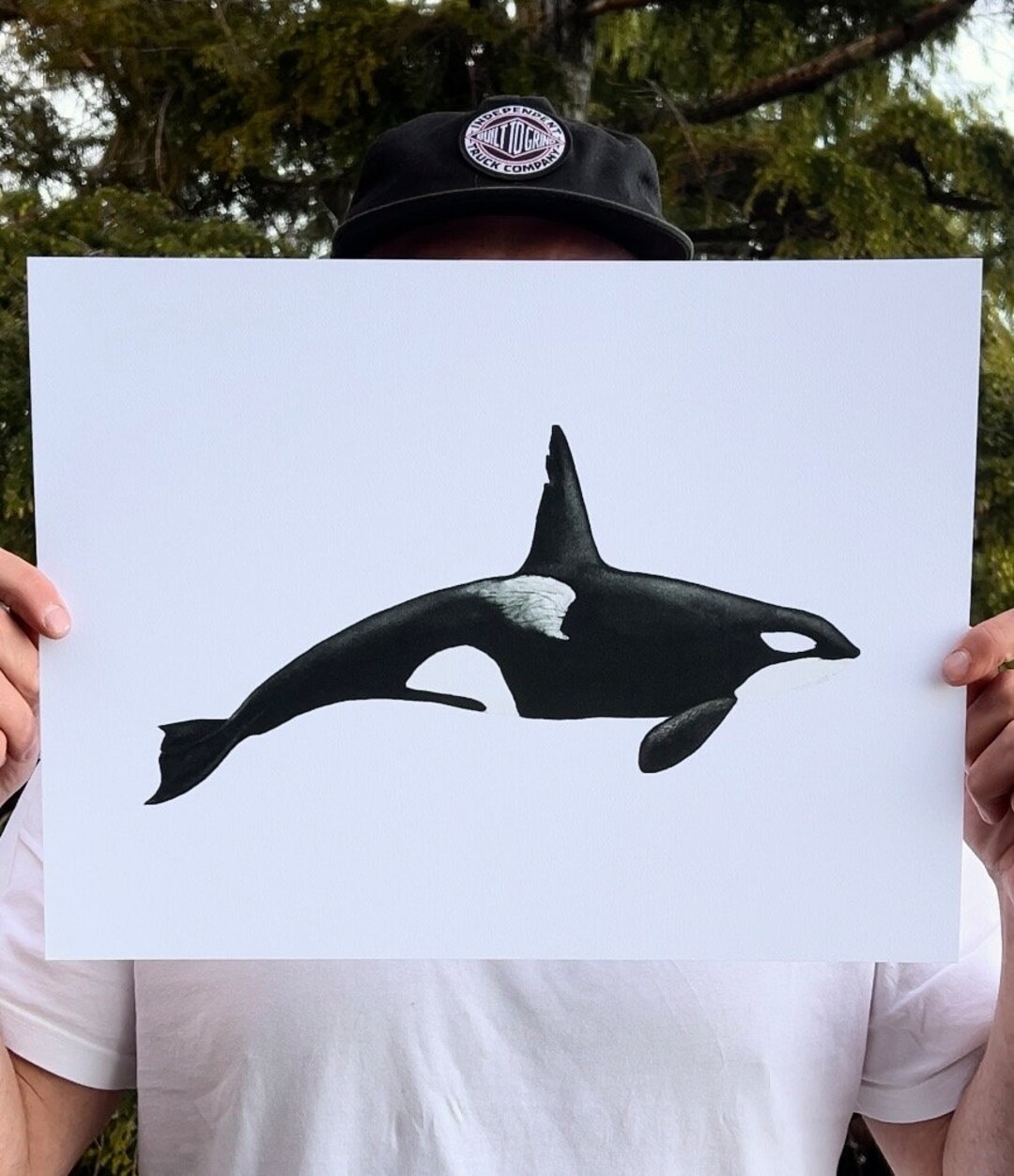 T063 “chainsaw” Orca Whale Limited Edition Print - Etsy