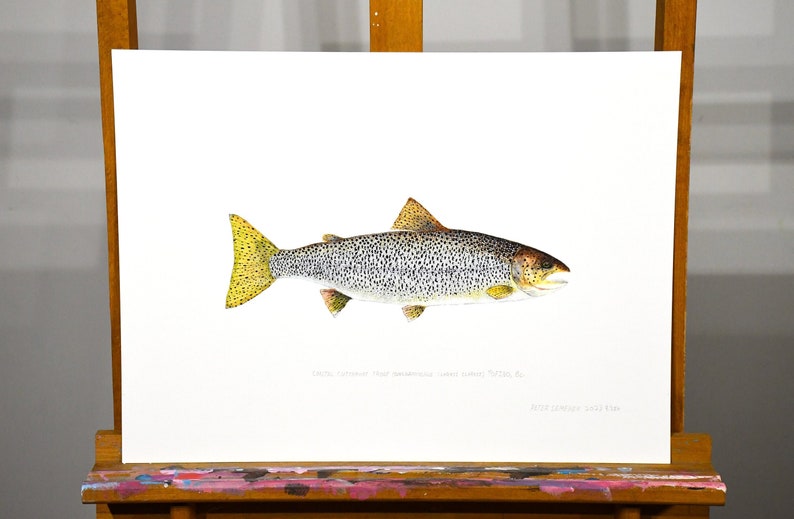 Cutthroat Trout Limited Edition Print - Etsy