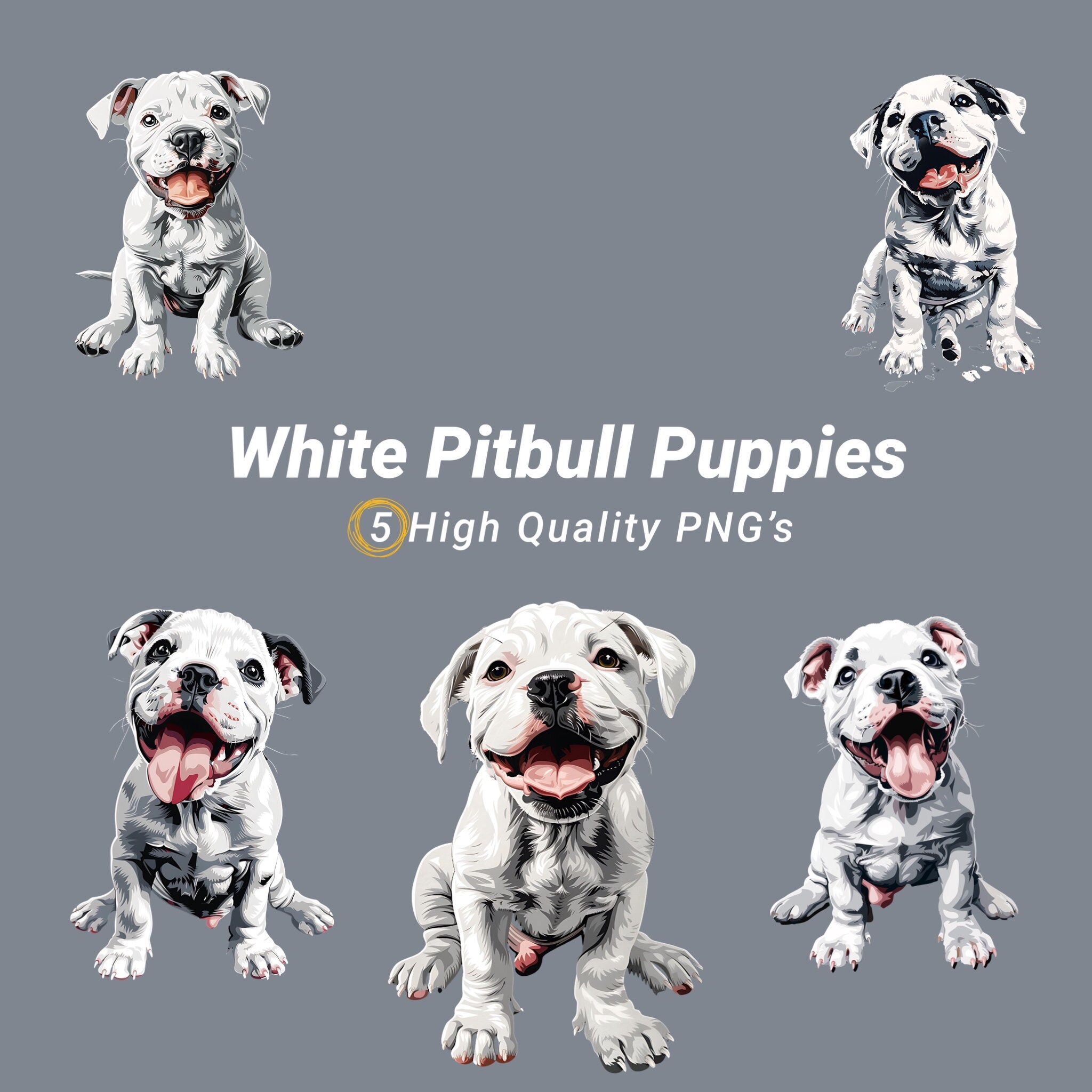 Smiling Pitbull Puppy Clipart - 5 High Quality | Pitbull PNG, Digital ...