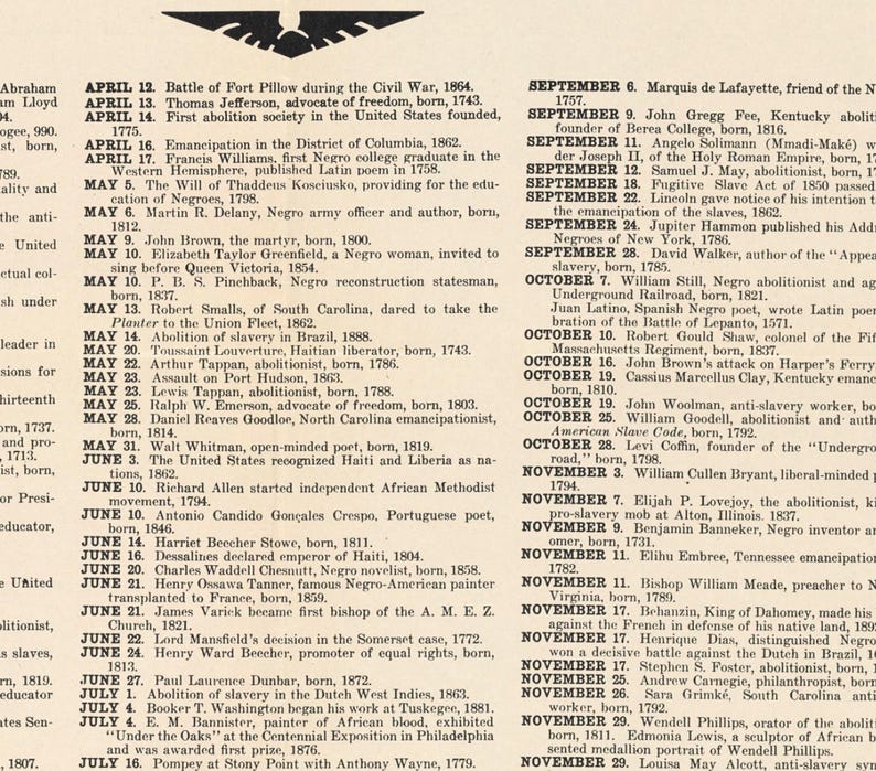 Black History Timeline Poster, African American History Wall Art ...