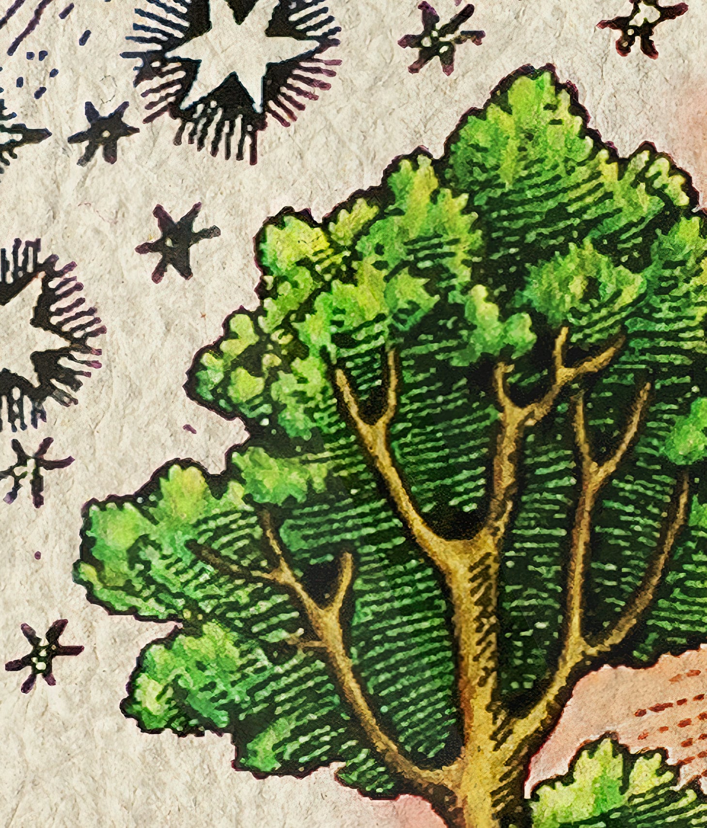 Flammarion Engraving, Digital Download, Enhanced Quality - Remastered ...