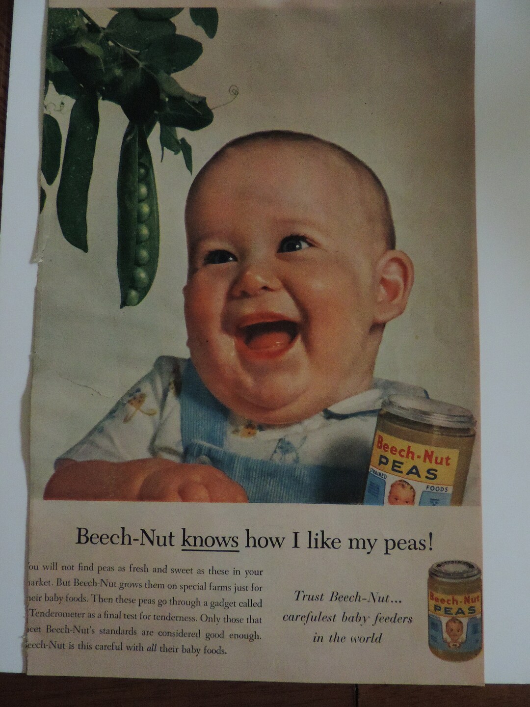 1957 Beech-nut Peas Baby Food Full Page Color Print Advertisement - Etsy