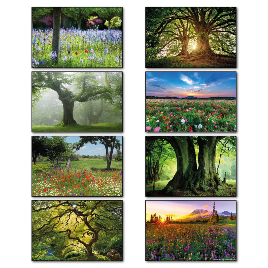 Woodland Tree Fridge Magnets: Decorative Meadow Scenes, Set of 8 - Etsy