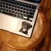 Black Lab Sticker - Etsy