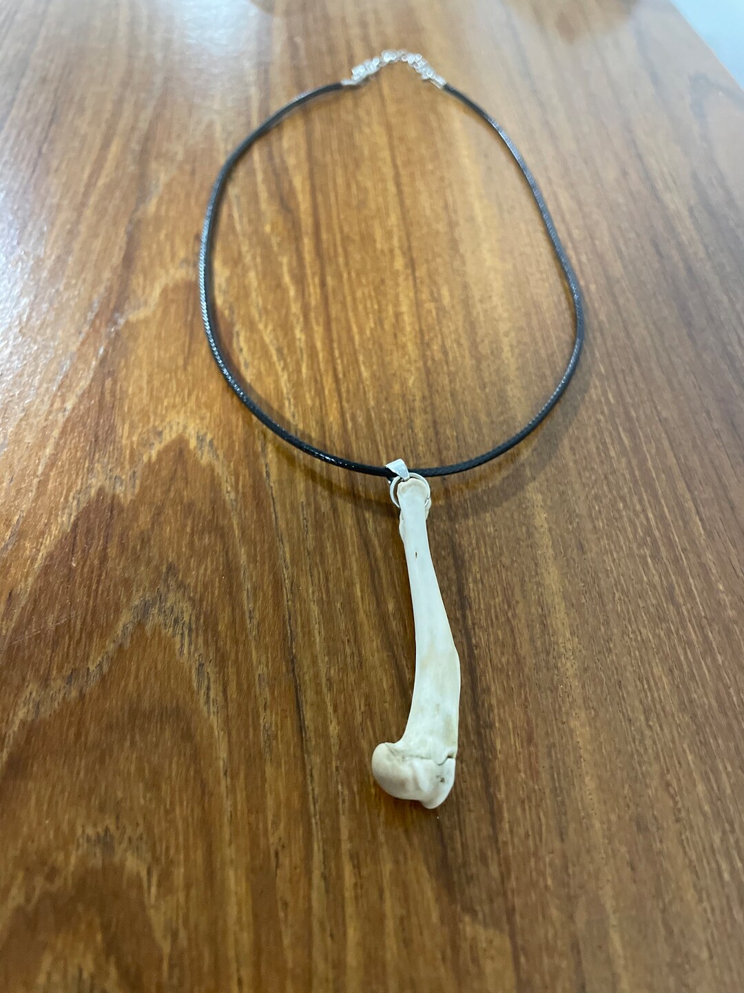 Rabbit Humerus Necklace - Etsy