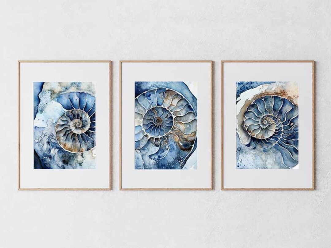 Ammonite Art, Set of 3 Farmhouse Wall Art, Digital Art Download, Nature ...