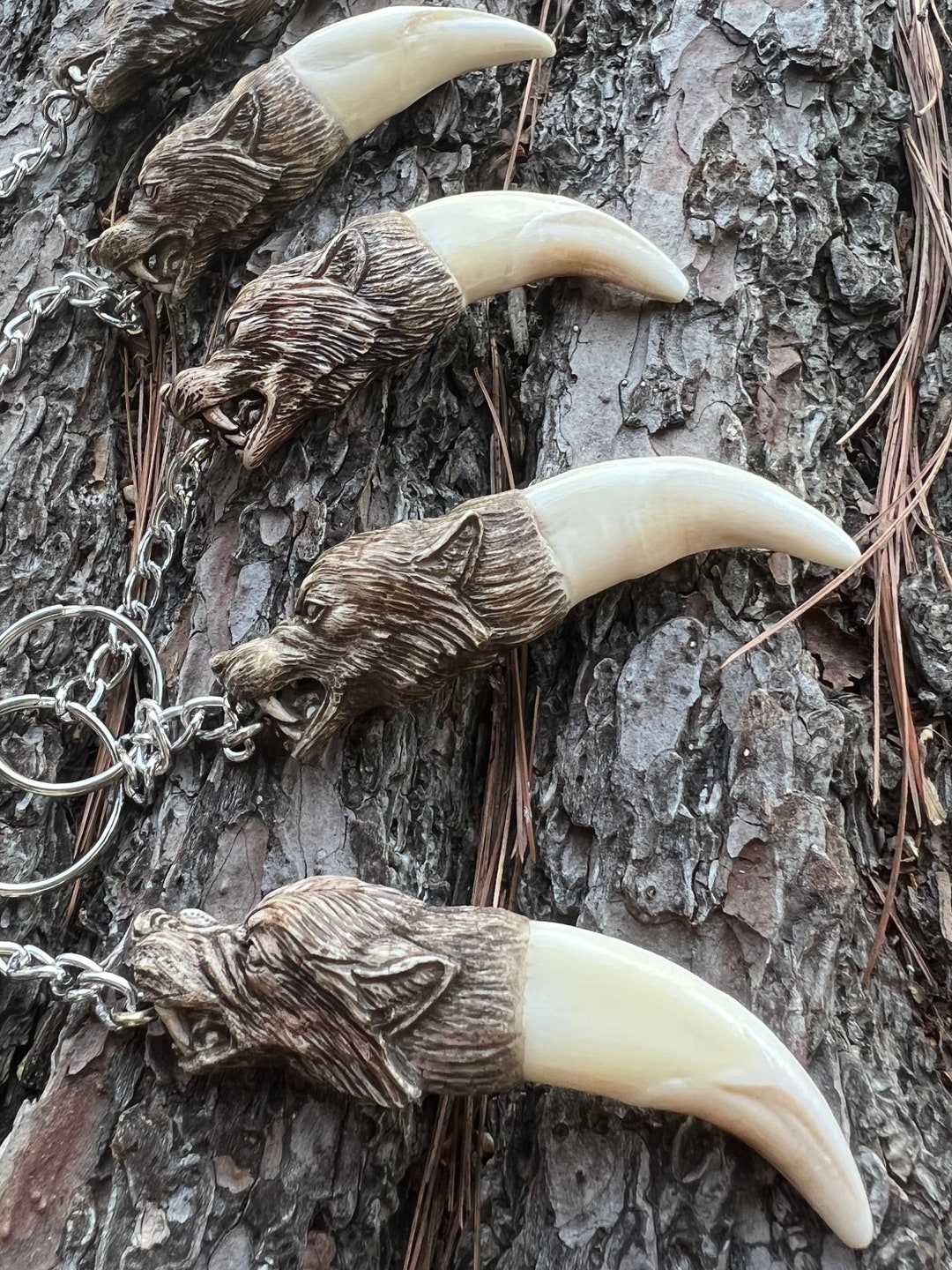 Unique and Very Beautiful Thing. Keychain coyote Tooth, Coyote Fang - Etsy