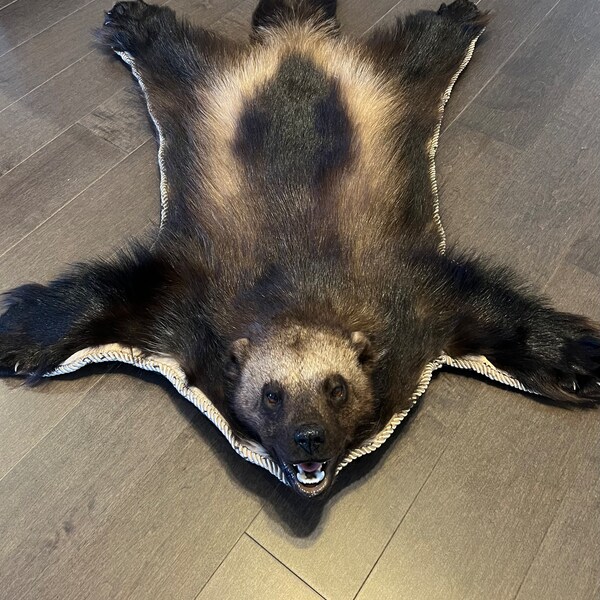 Wolverine Claws - Etsy