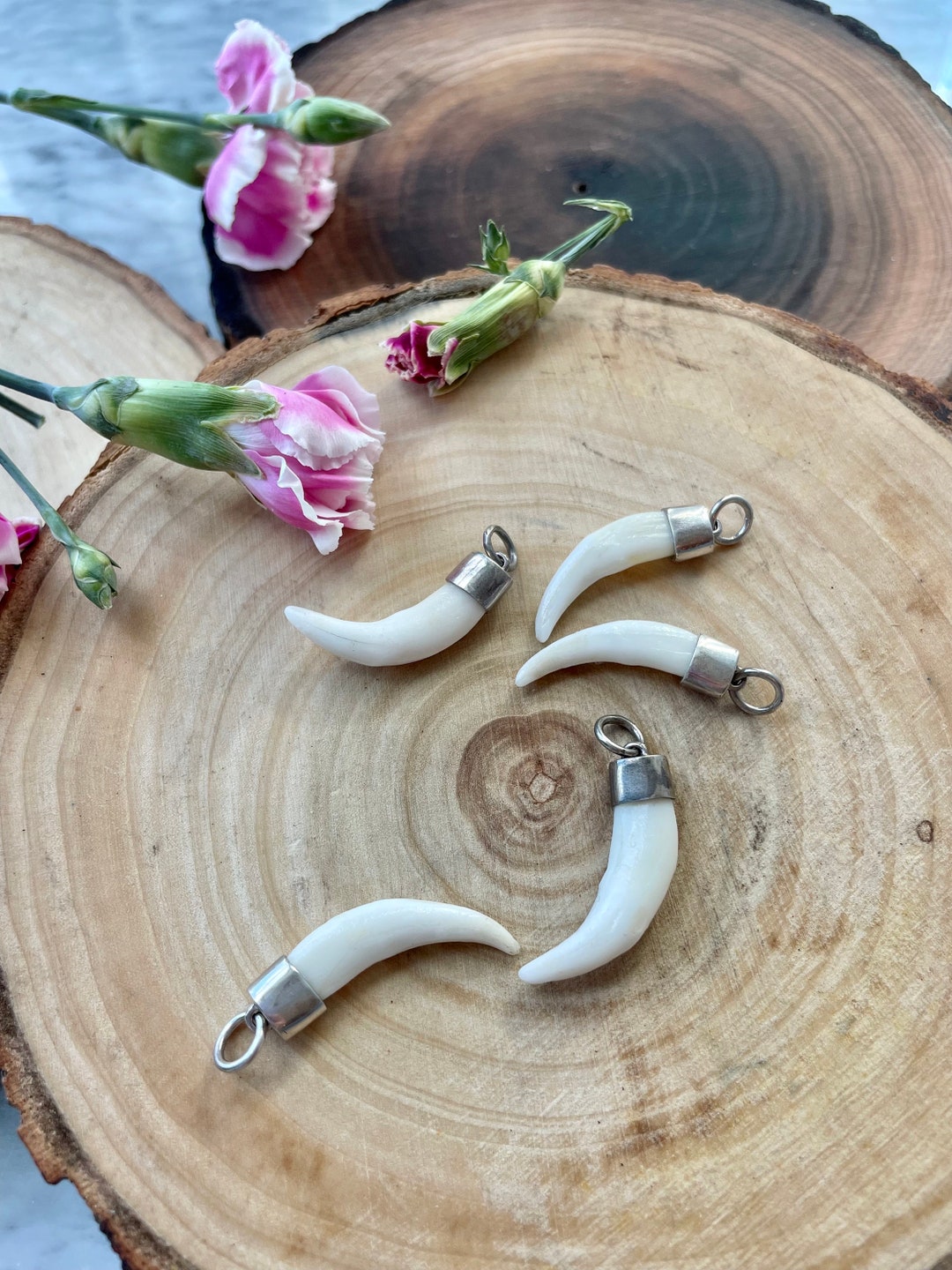 Fox Fang Amulet Pendant With 925 Sterling Silver Cap. - Etsy