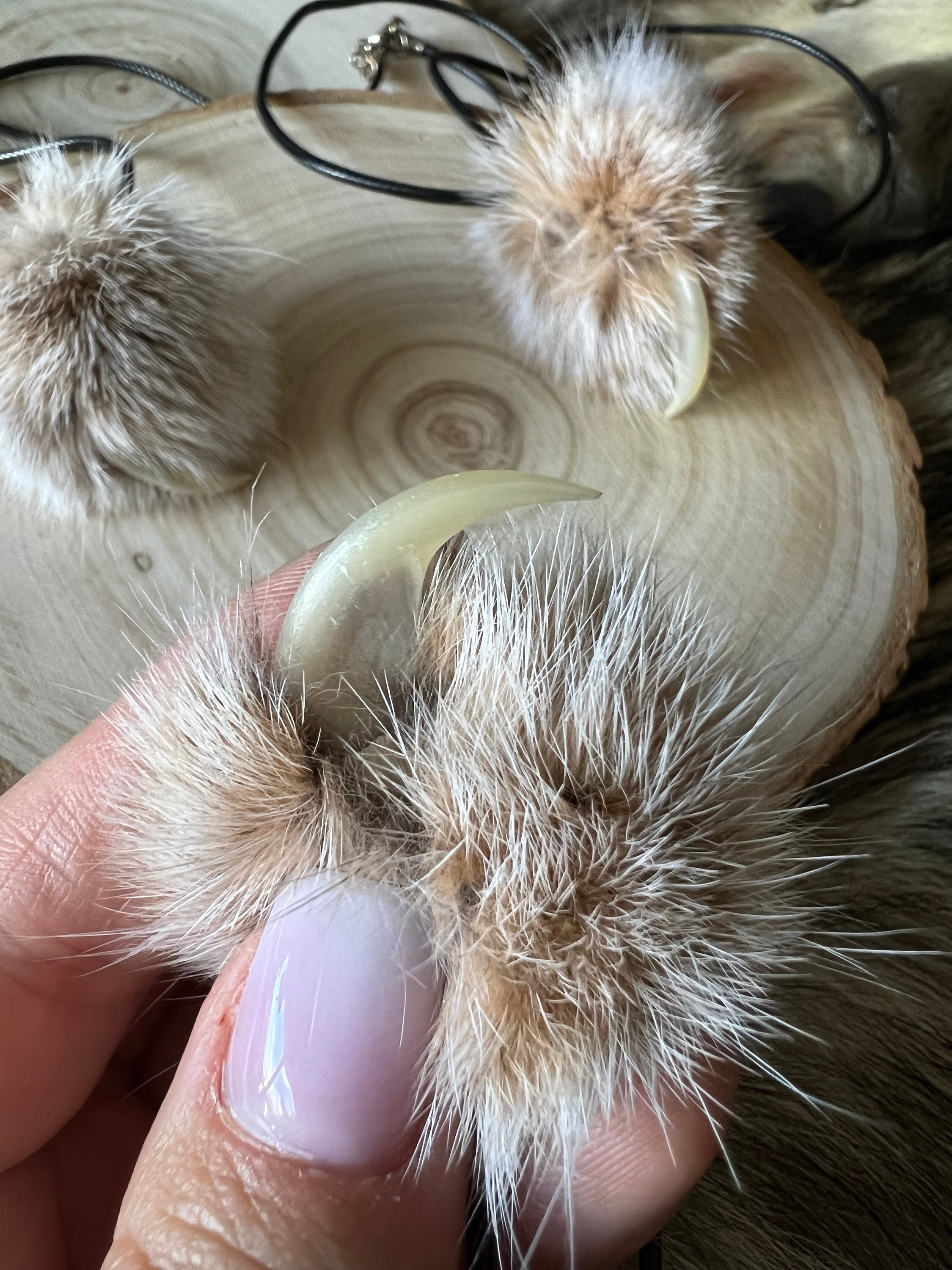 Amulet Pendant lynx Claw Lynx Fur. Very Big Size XXXL - Etsy