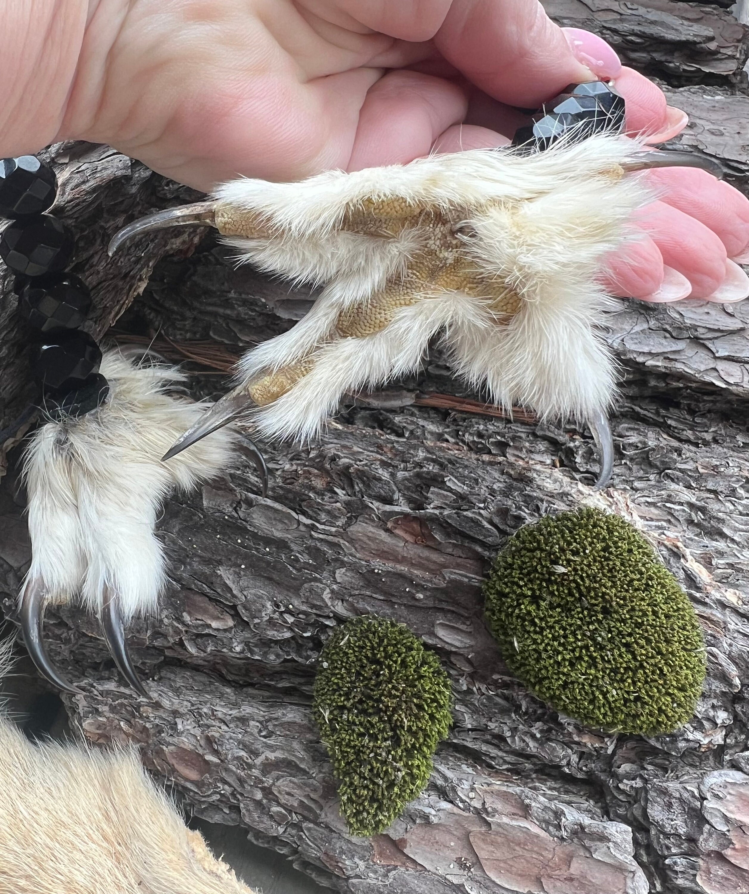 Owl Paw Pendant With Black Agate - Etsy