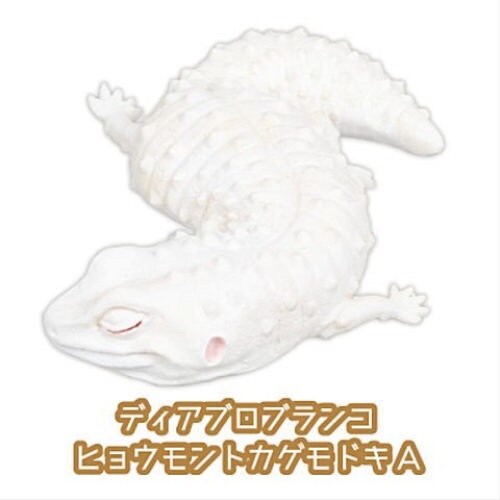 Leopard Gecko Good Night Series All 8 Types Capsule Toy Gacha Gashapon ...