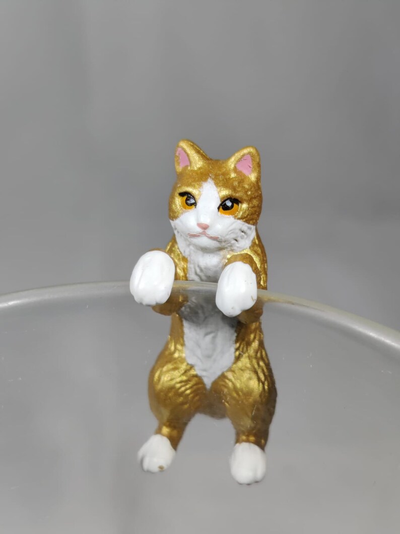 Hang on Cats All 8 Types Capsule Toy Gacha Gashapon Japan - Etsy