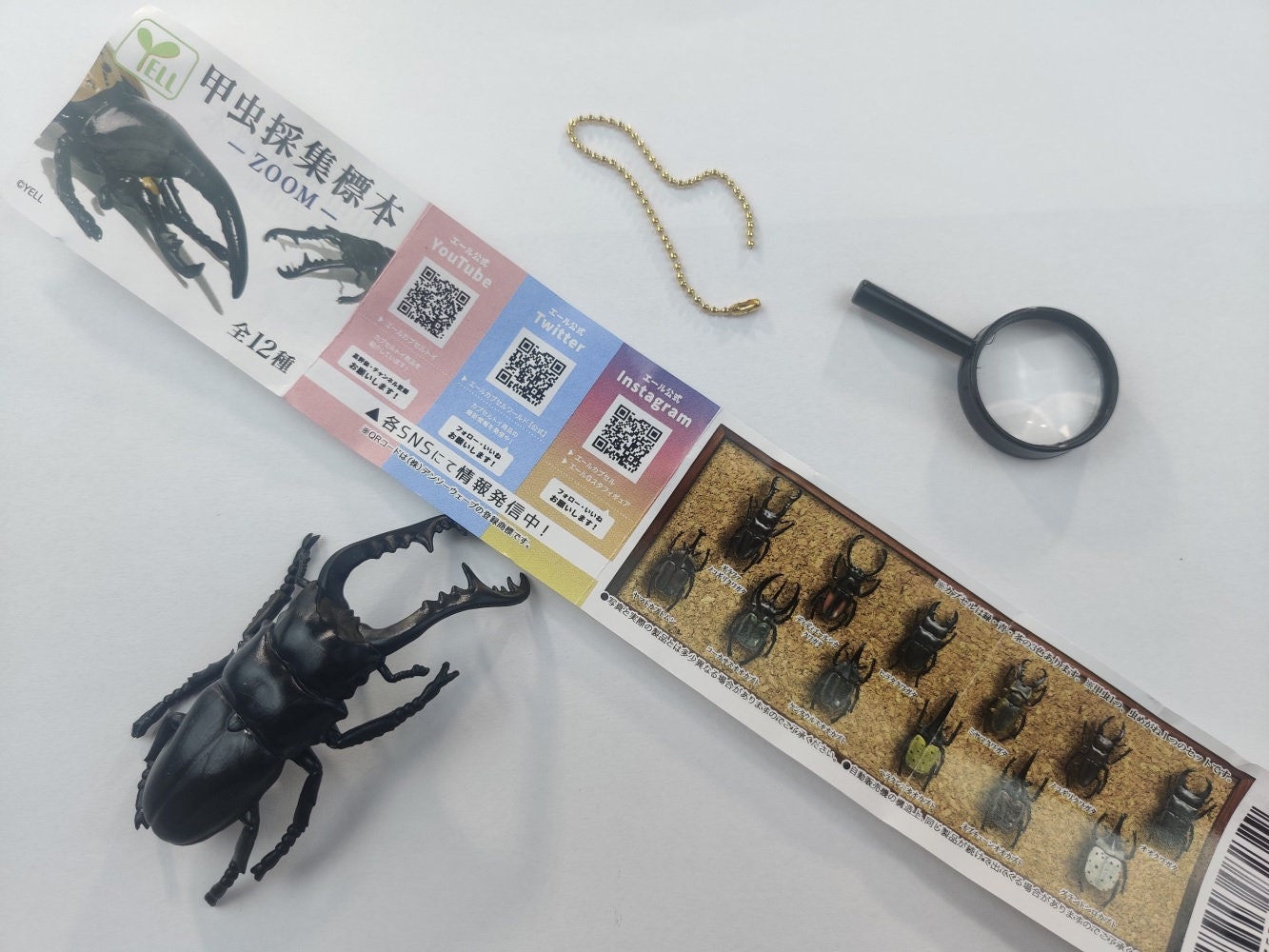 Beetle Collection Specimen All 12 Types Capsule Toy Gacha Gashapon ...