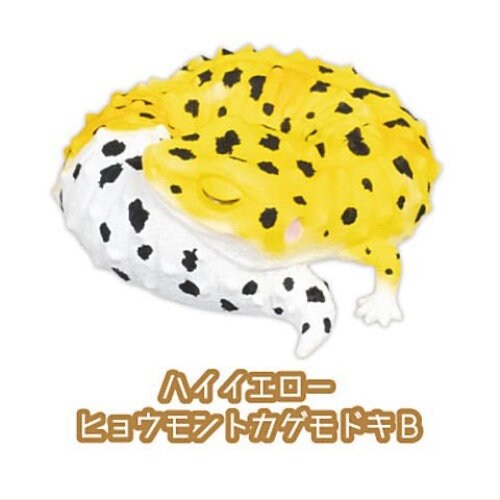 Leopard Gecko Good Night Series All 8 Types Capsule Toy Gacha Gashapon ...