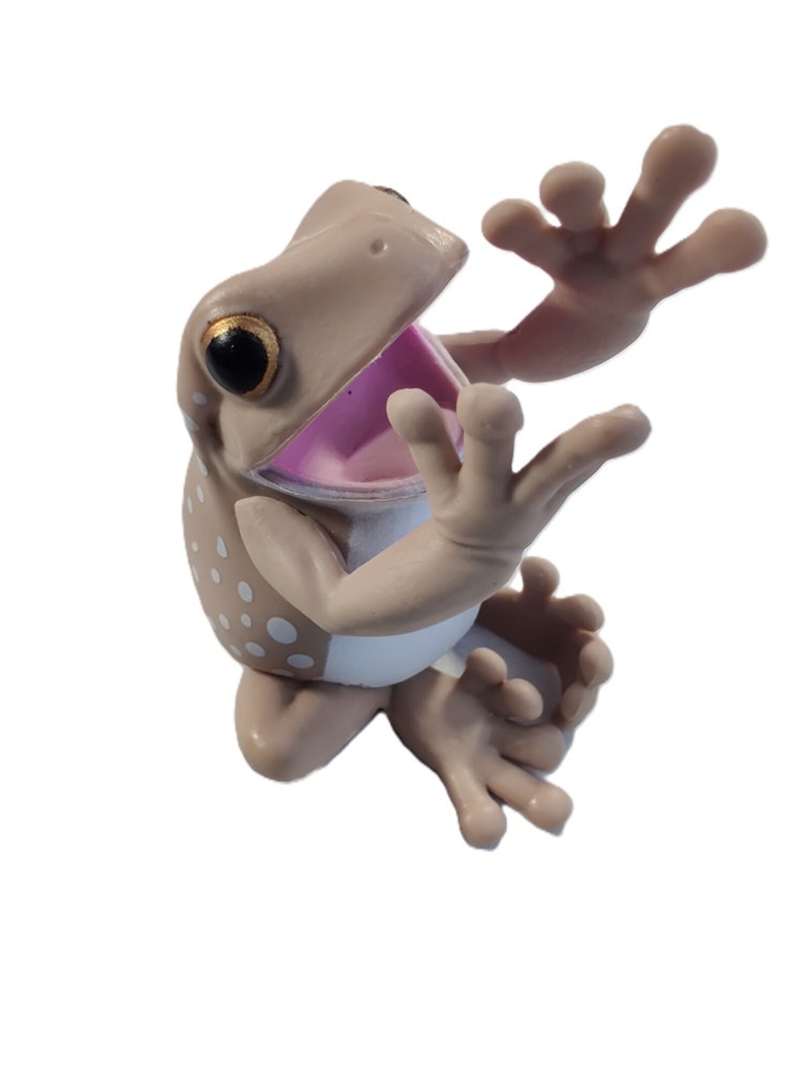 White's Tree Frog All 4 Types Capsule Toy Gacha Gashapon Japan ...