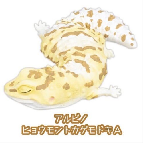 Leopard Gecko Good Night Series All 8 Types Capsule Toy Gacha Gashapon ...