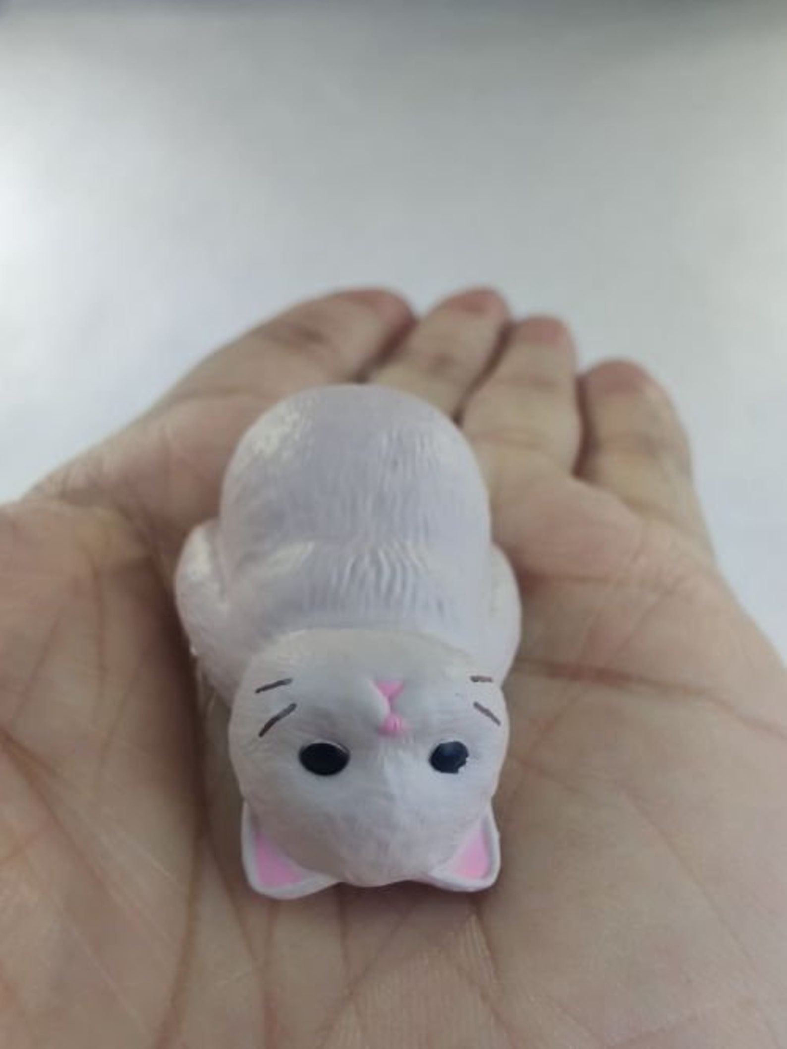 KYOMU Cats All 5 Types Capsule Toy Gacha Gashapon Japan Gachareward - Etsy