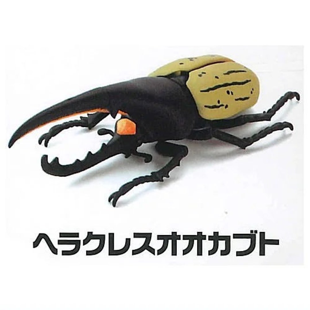 Modeling Beetles All 4 Types Capsule Toy Gacha Gashapon Japan ...