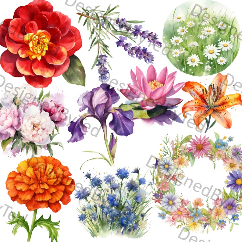 Mega Watercolor Flowers Clipart 70 PNG Clip Arts Bundle, Spring and ...