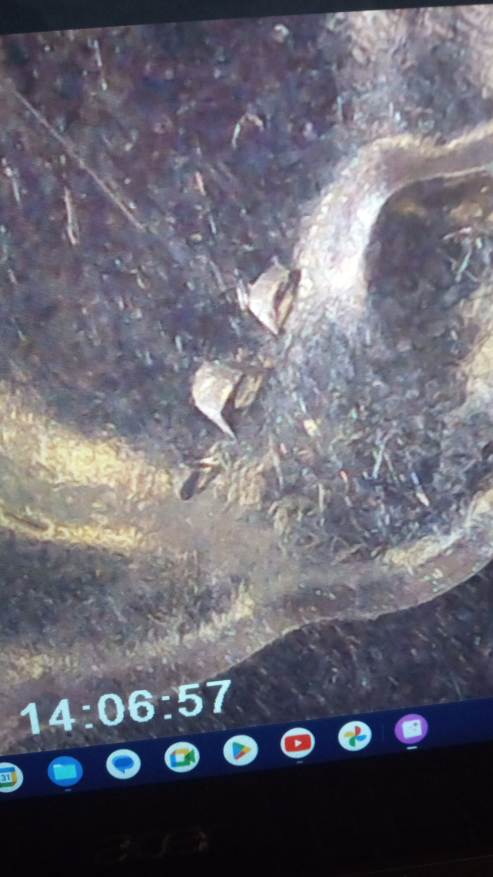 Rare Drooling George, Bessie Coleman Quarter. Great Coin With Errors - Etsy