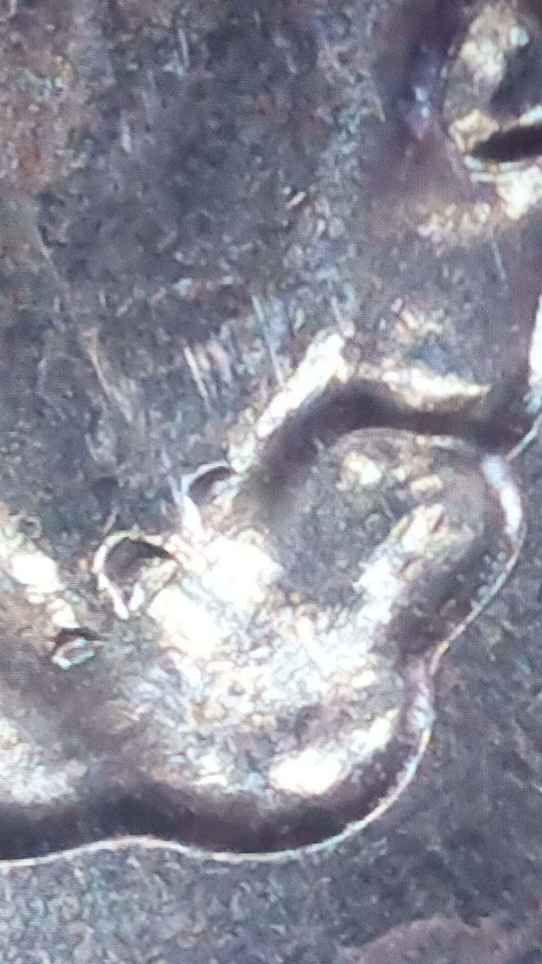 Rare Drooling George, Bessie Coleman Quarter. Great Coin With Errors - Etsy