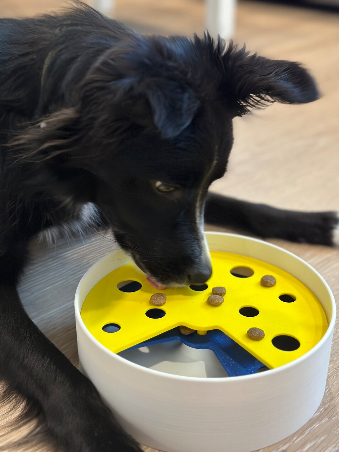 Spinning Dog Feeding Dish - Advanced | Toy Puzzle Bowl | Slow Feeder ...