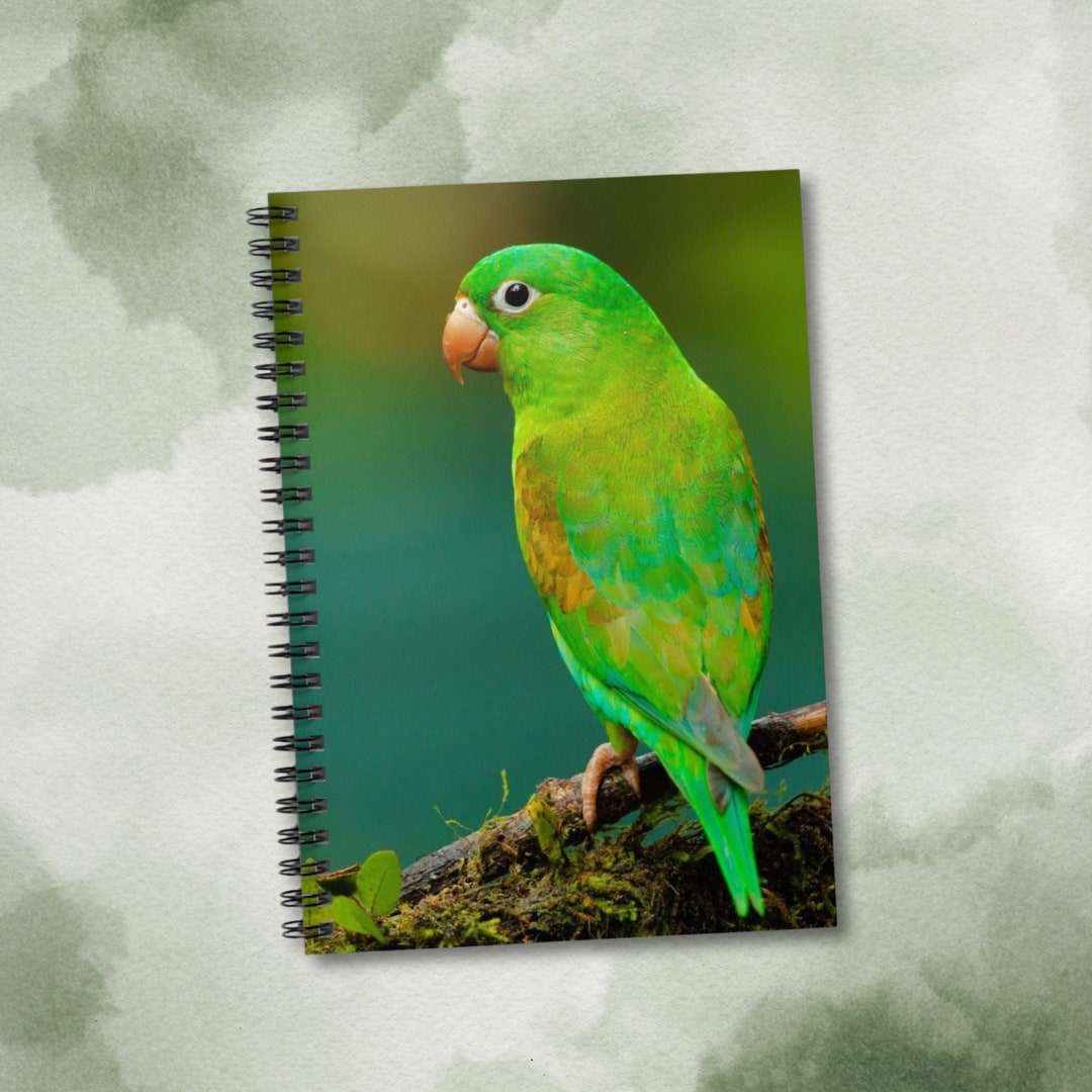 Parrot Journal / Travelers Notebook - Etsy