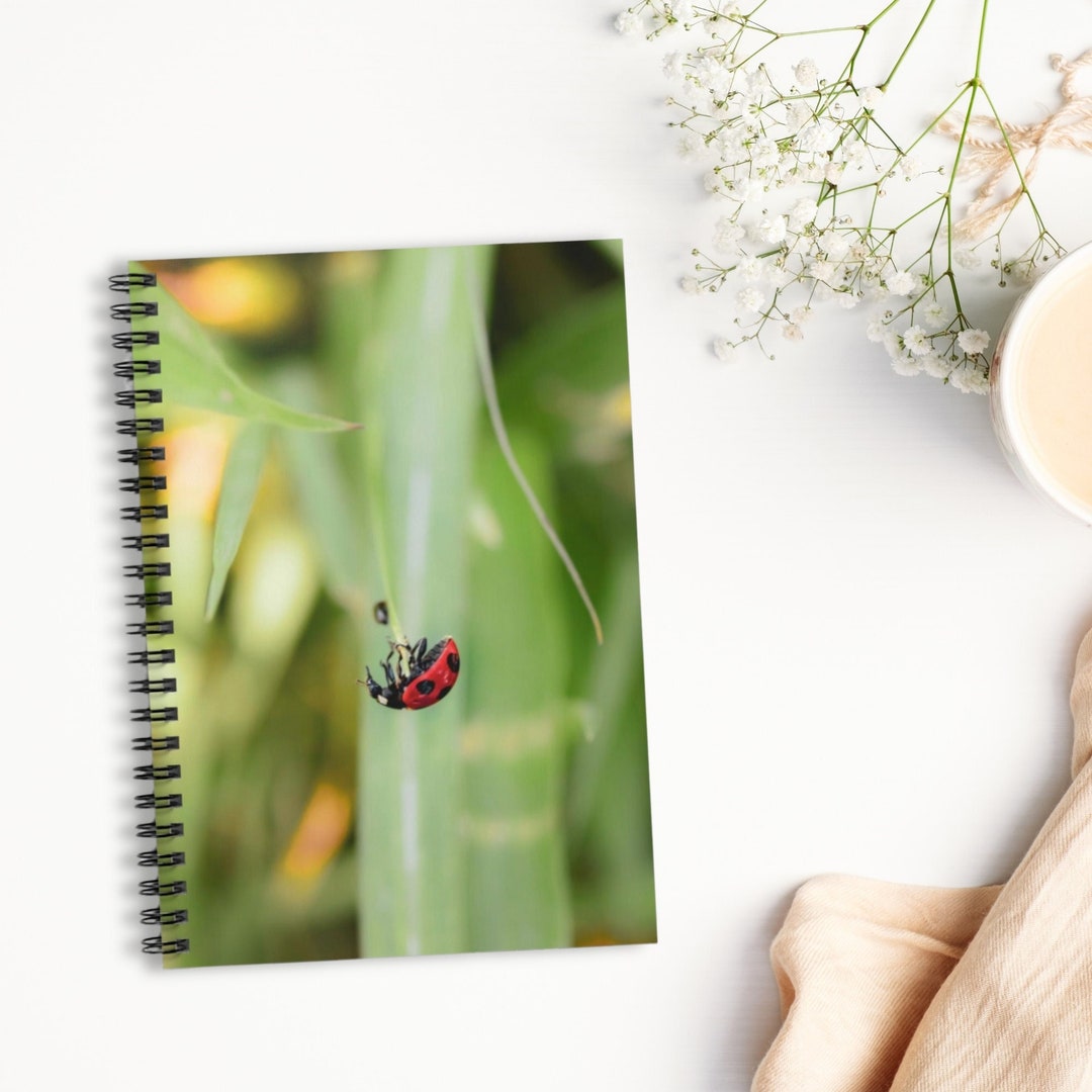 Cute Ladybug Journal / Ladybug Notebook / Self Love Journal / to Do ...