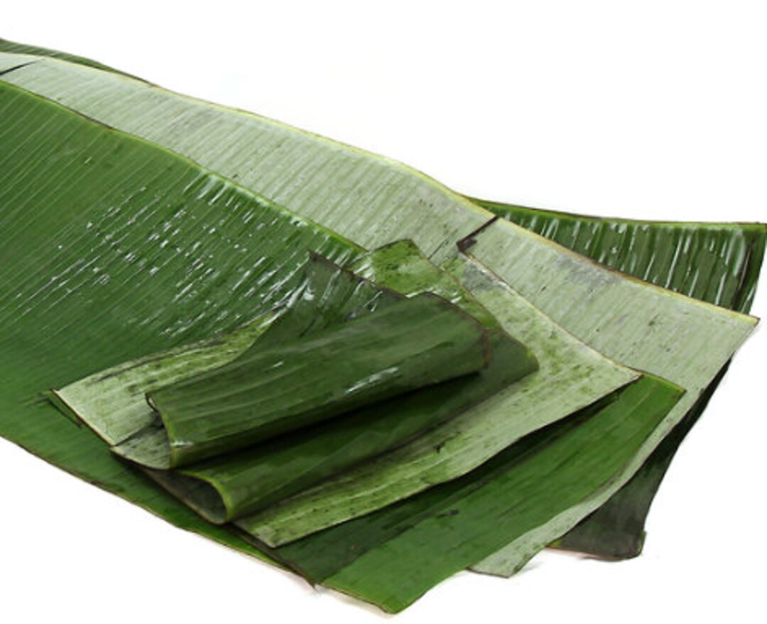 Organic Banana Leaves - Perfect for Cooking, Wrapping, & Crafts ...