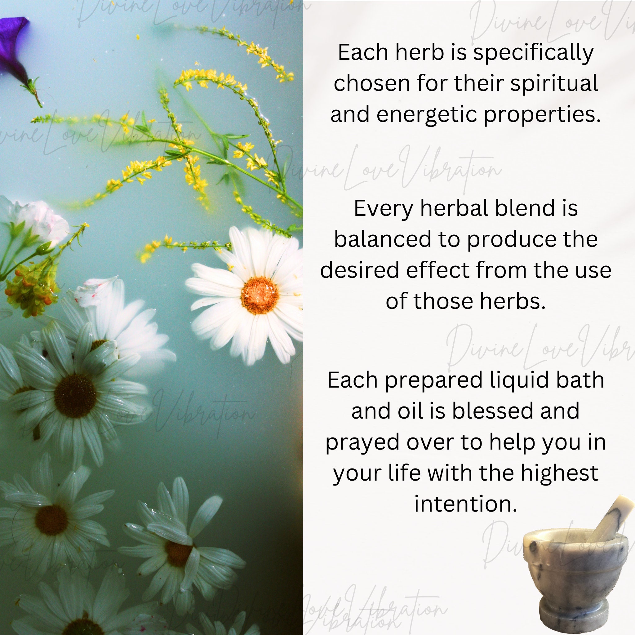 Money Herbs, 11 Herbs for Attracting Wealth, Money Spiritual Bath ...