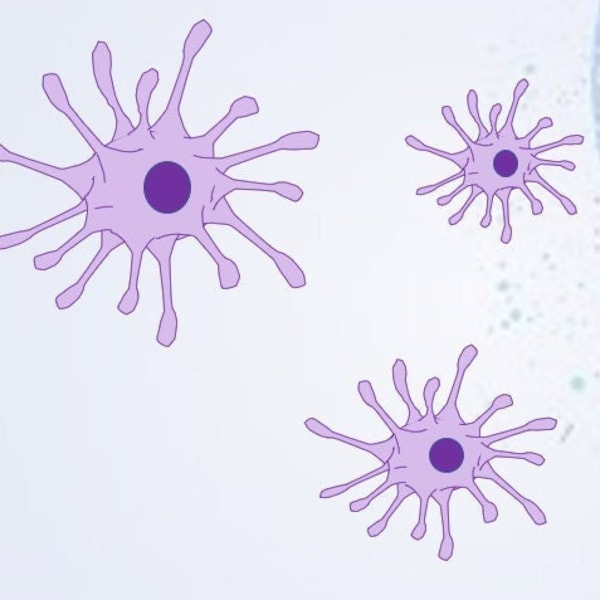 Dendritic Cell Art - Etsy