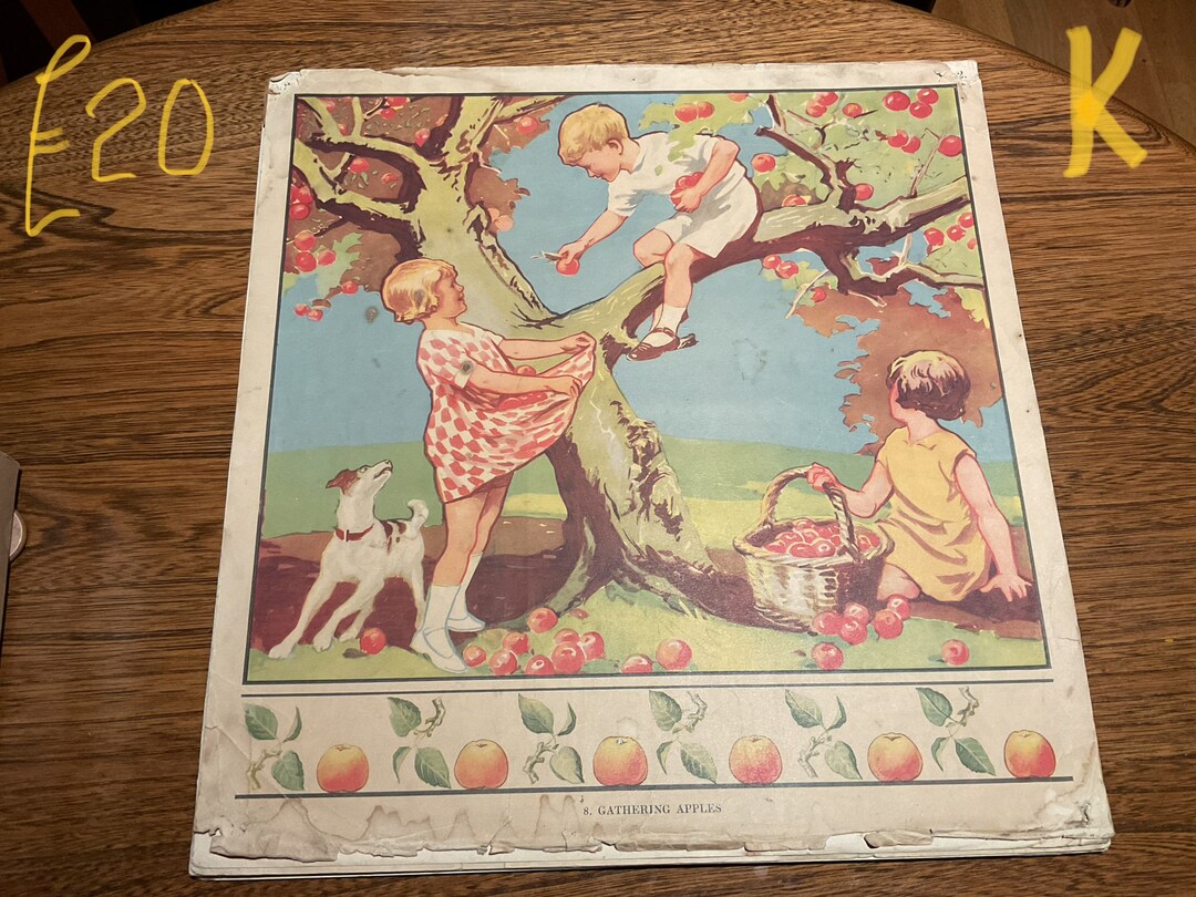 Vintage Macmillan Educational Classroom Posters C1930. Designed as ...