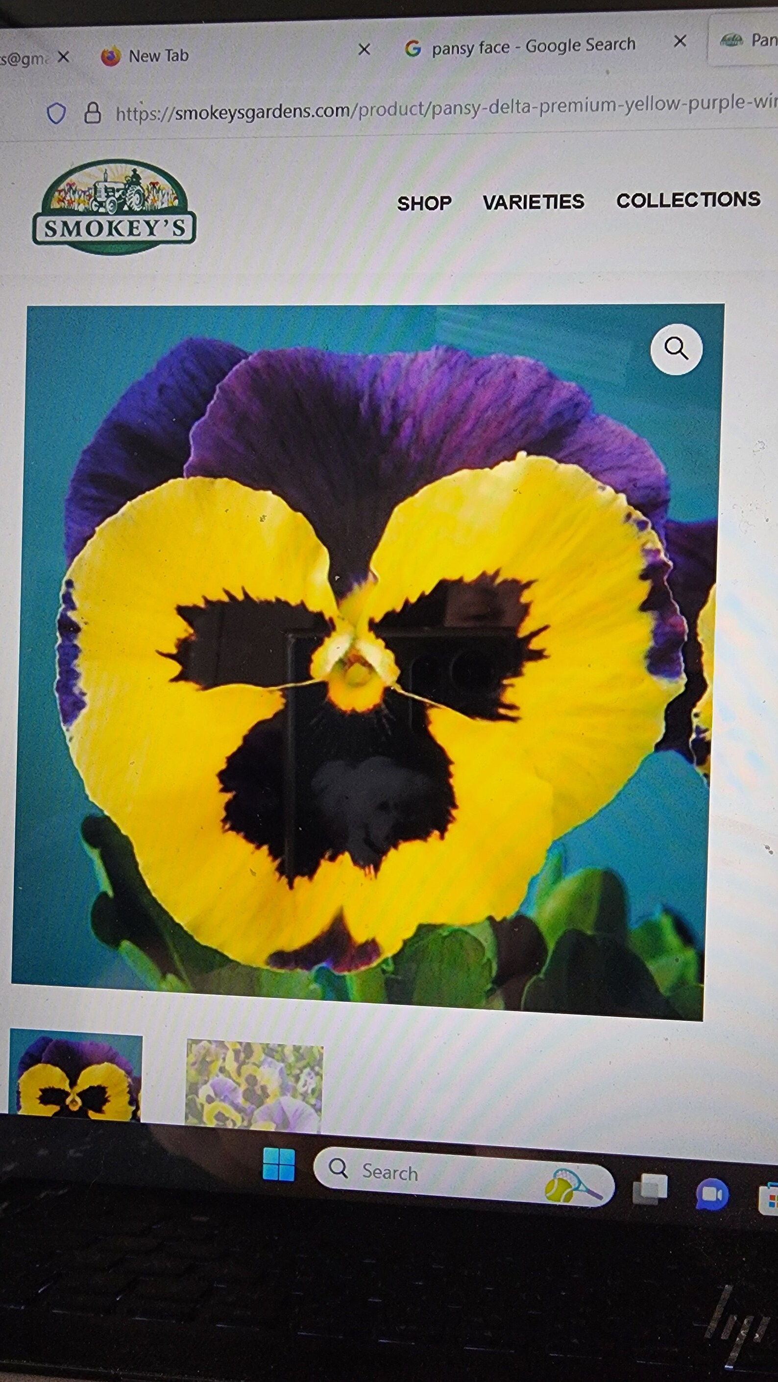 Pansy Face Stained Glass Pattern - Etsy